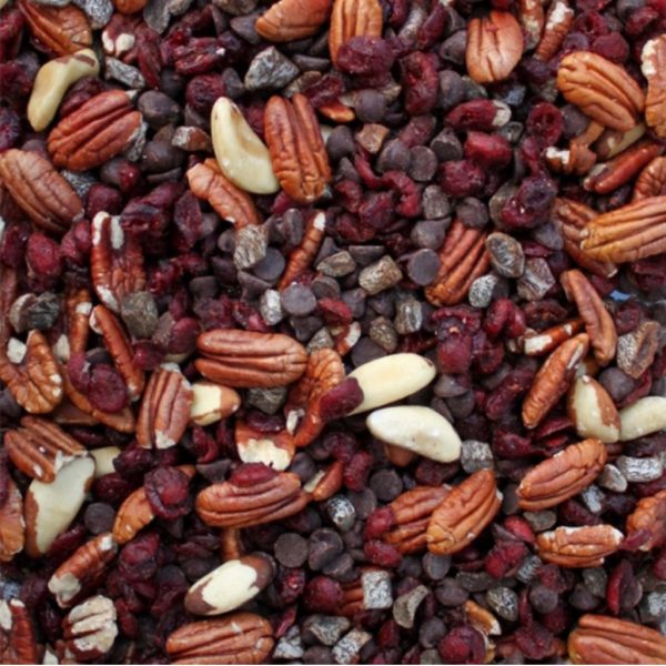 Organic Mountain Trail Mix - OrganicPoint