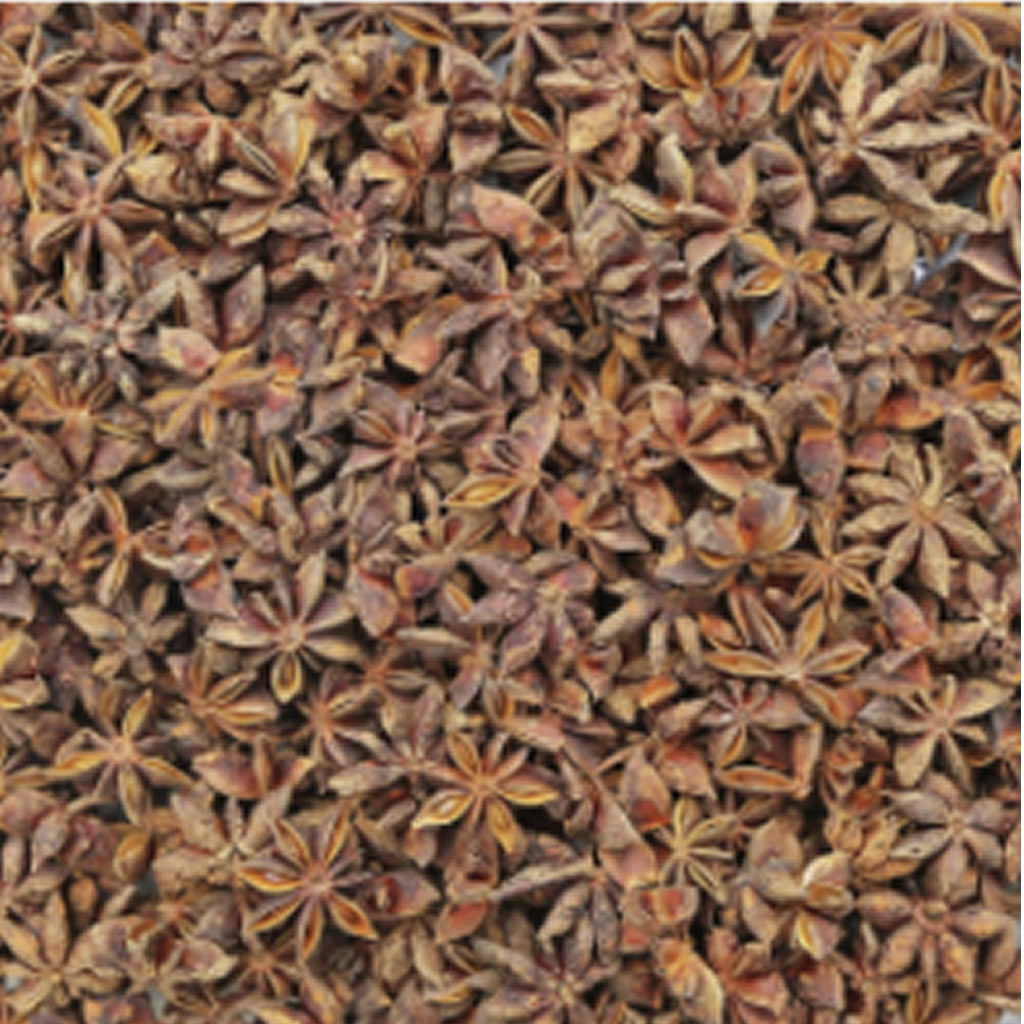 Organic Star Anise, Whole Pods - OrganicPoint
